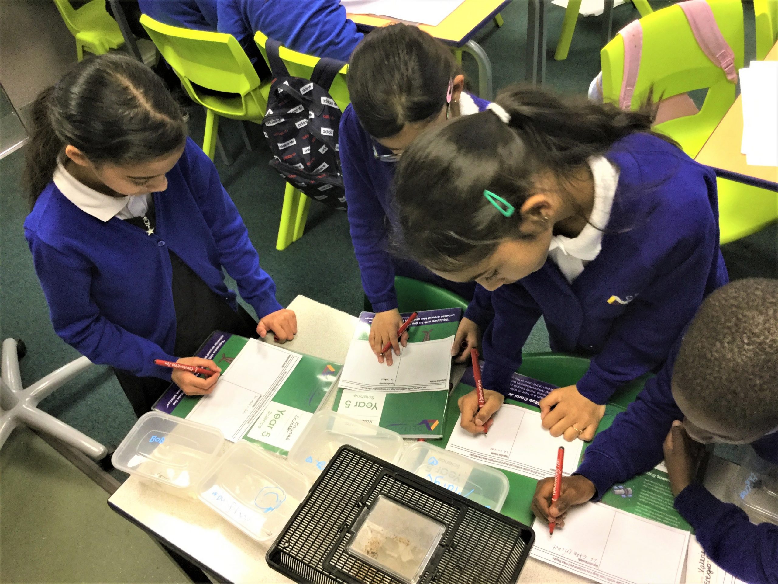 Year 5 Gallery - Park View Primary Academy